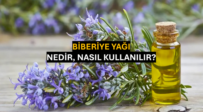 Biberiye Yağı Nedir, Nasıl Kullanılır? - Bilgi Rehberim